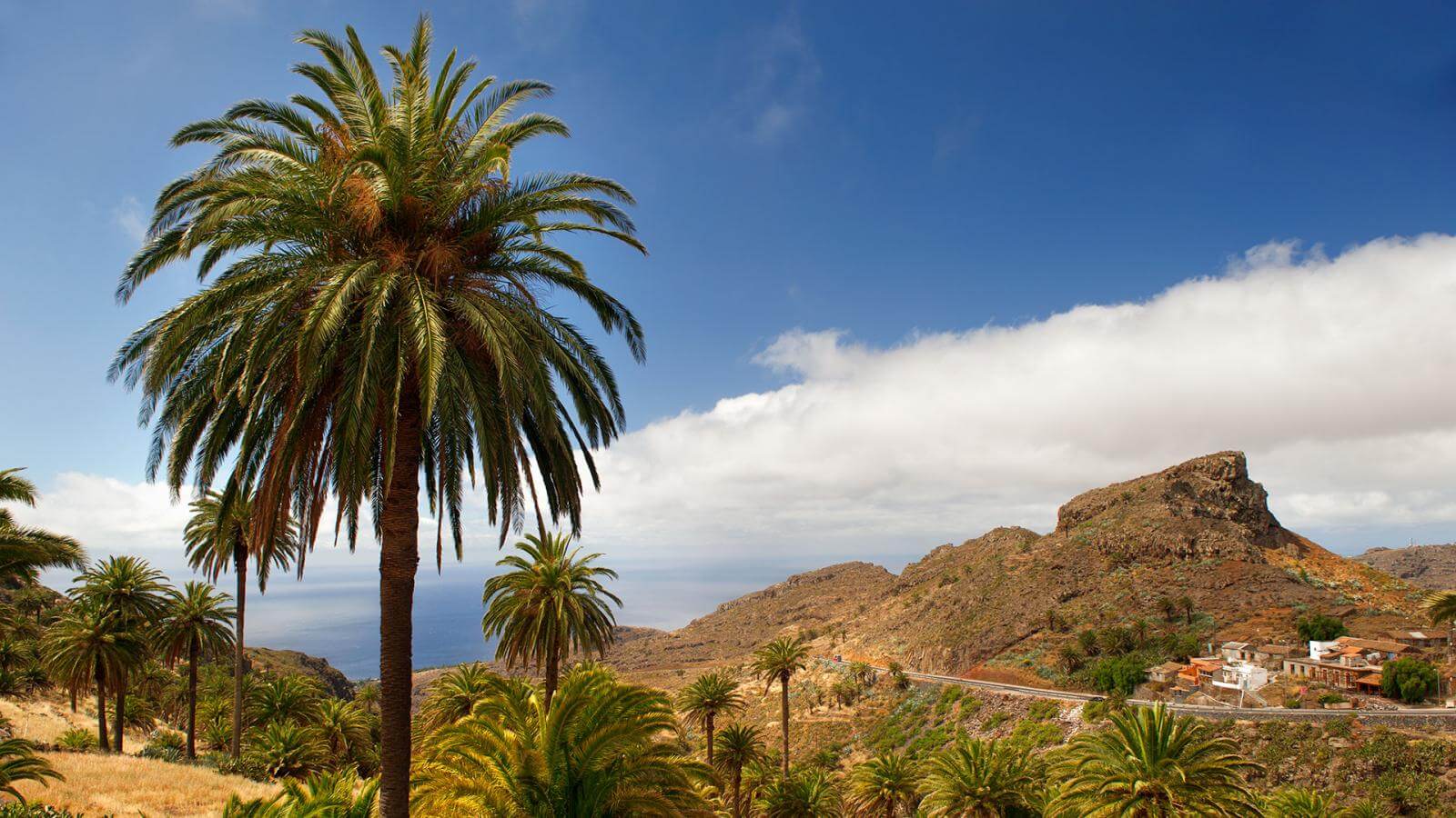 ¿Sabías que hay una Isla donde hablan silbando? | La Gomera