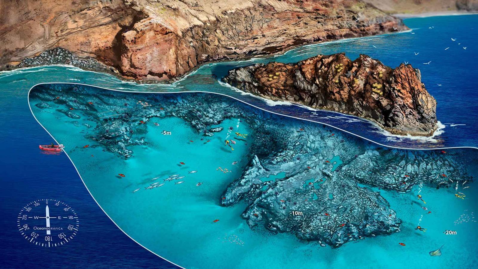 Discover SCUBA diving in Valle Gran Rey | La Gomera